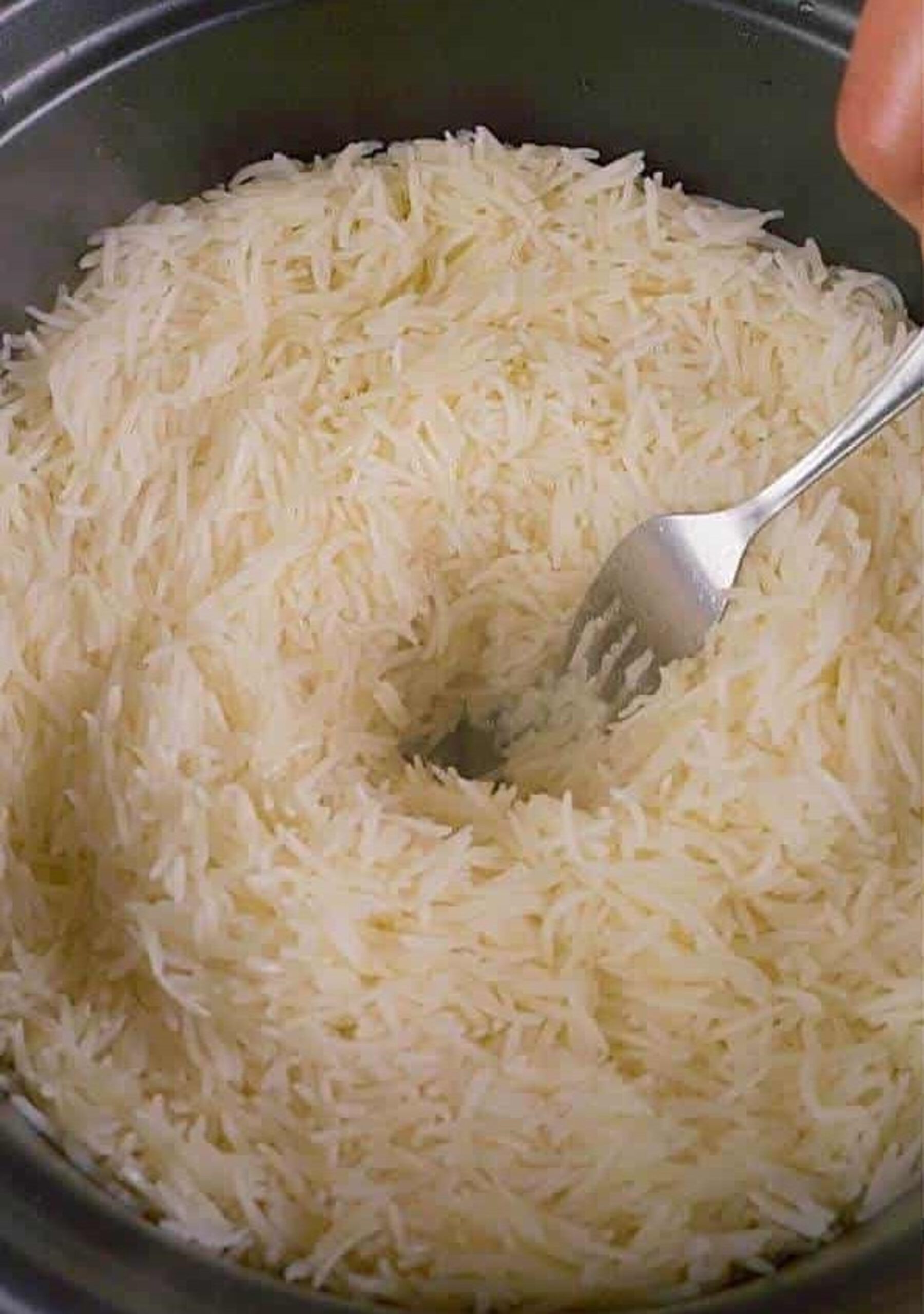 Zereshk Polo Ba Morgh | Persian Barberry Rice with Chicken - Foodoosh